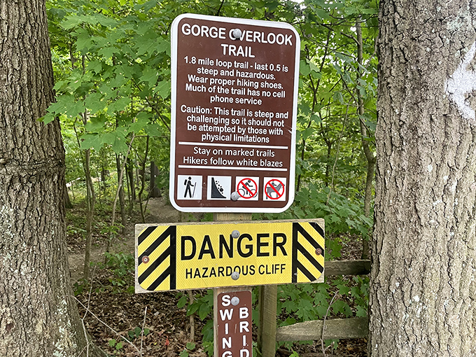 Decision time at the crossroads! This trail sign offers adventures in every direction &ndash; from swinging bridges to mountain biking. It's like a choose-your-own-adventure book for grown-ups.