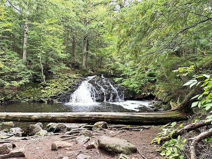 Nature's own spa treatment &ndash; this waterfall doesn't just flow, it performs, creating a soundtrack that expensive meditation apps try desperately to replicate.