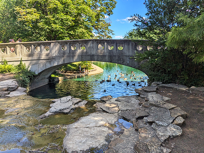 Twin Lakes Bridge arches gracefully over still waters, creating a scene straight from an impressionist's imagination.