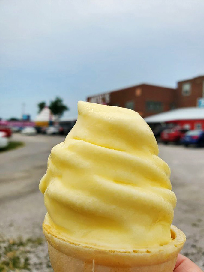 Lemon soft-serve swirls into a perfect cone, delivering sunshine in frozen form that'll make you forget whatever season it actually is.