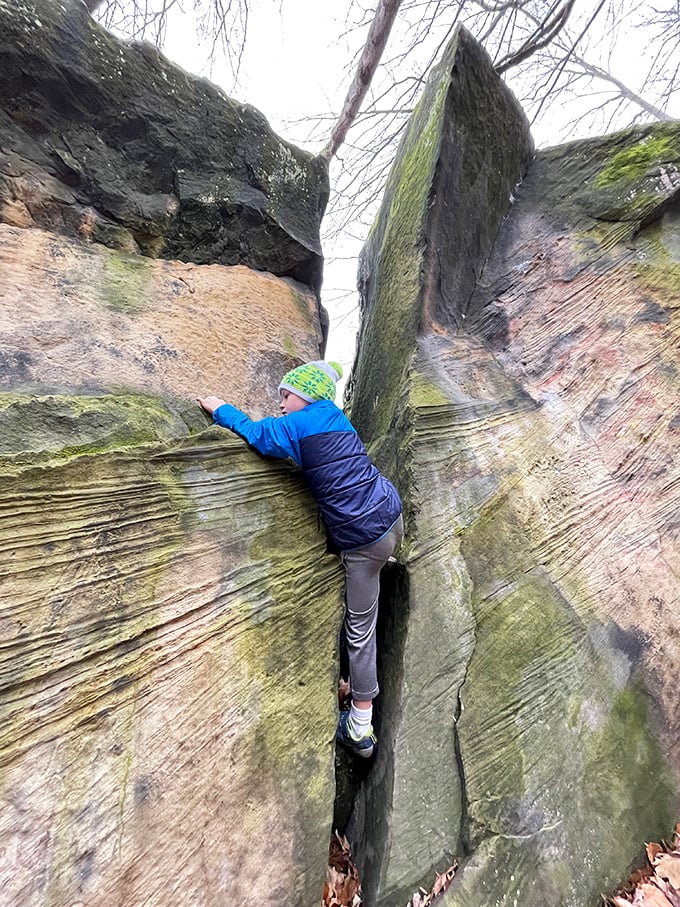 Adventure comes in all sizes at Cascade Park. These natural rock formations offer impromptu climbing challenges that turn ordinary hikes into personal conquests.