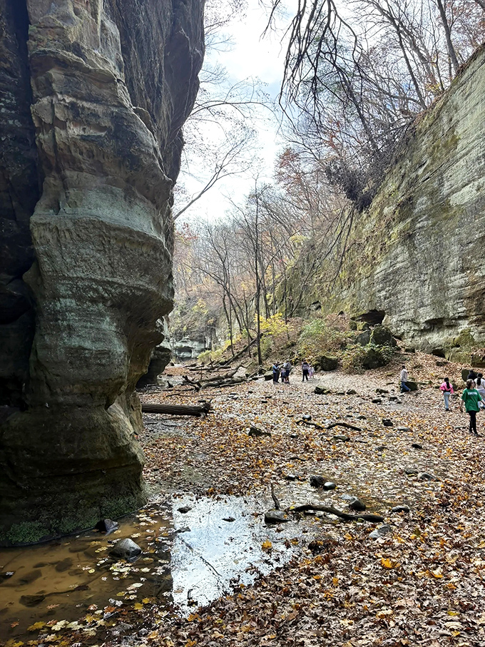 Autumn transforms the canyon floor into nature's playground, where towering walls create an intimate amphitheater for family adventures and memory-making.