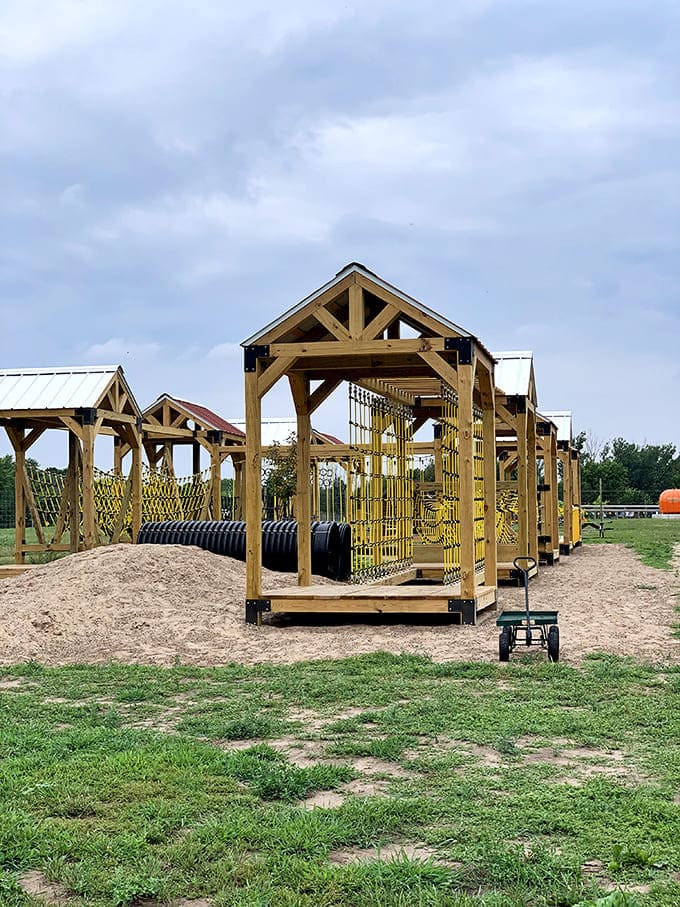 The low ropes course offers adventure for kids who've had enough of the flowers and need to burn off some energy, farm-style.