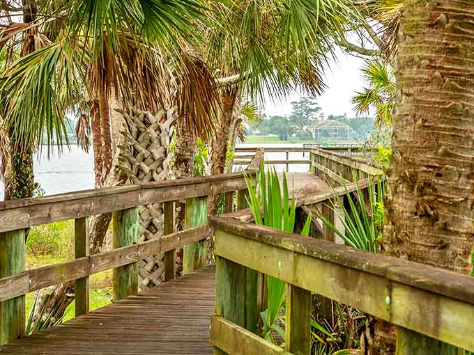 Nature and serenity combine on wooden boardwalks that meander through coastal hammocks, offering glimpses of Florida's wild side.