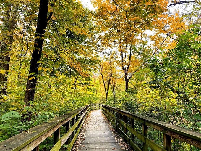 This wooden boardwalk is like the yellow brick road of Columbus, except instead of an emerald city, it leads to something even better &ndash; actual emerald waters.