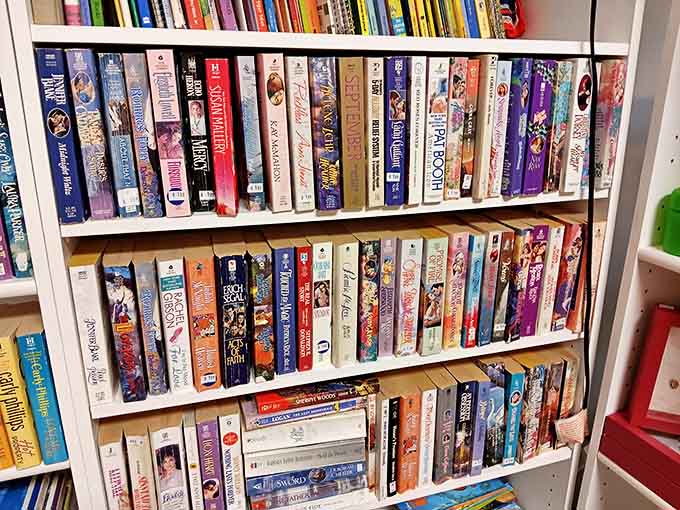 Bookworms rejoice! These shelves hold literary adventures spanning decades, each spine a portal to another time and place.