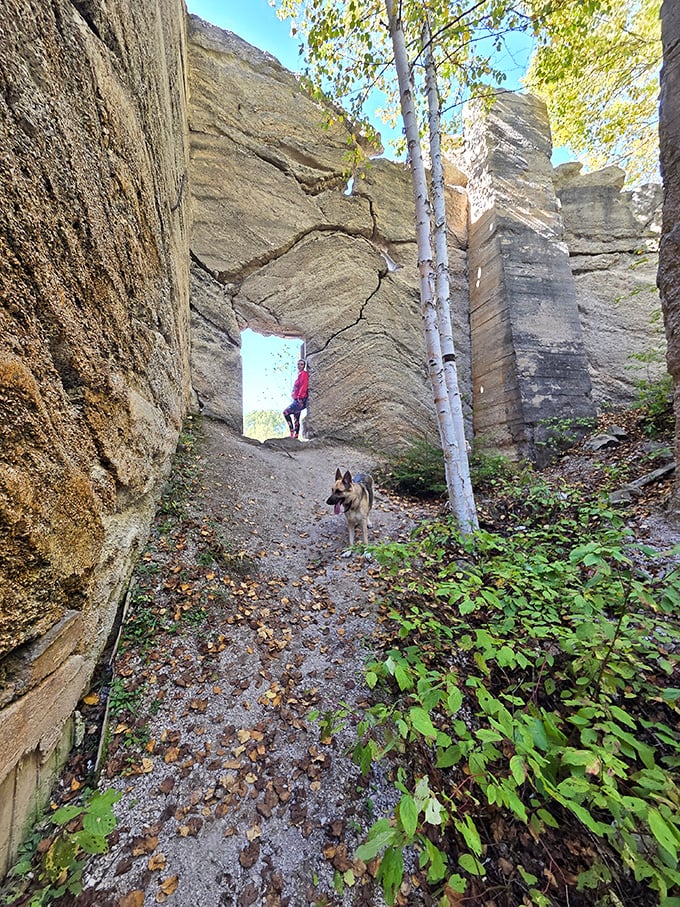 A four-legged explorer leads the way through limestone corridors, where towering rock walls create natural pathways through Michigan's karst landscape.