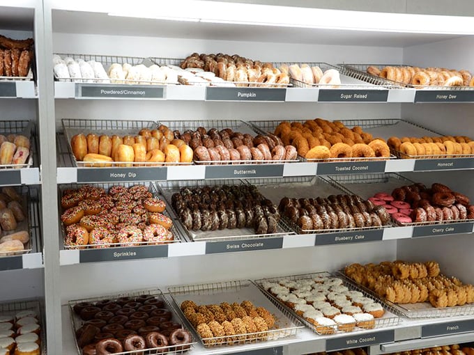 Donuts: Behold the rainbow of fried perfection! Each shelf tells a different chapter in the story of what's possible when simple ingredients meet skilled hands.
