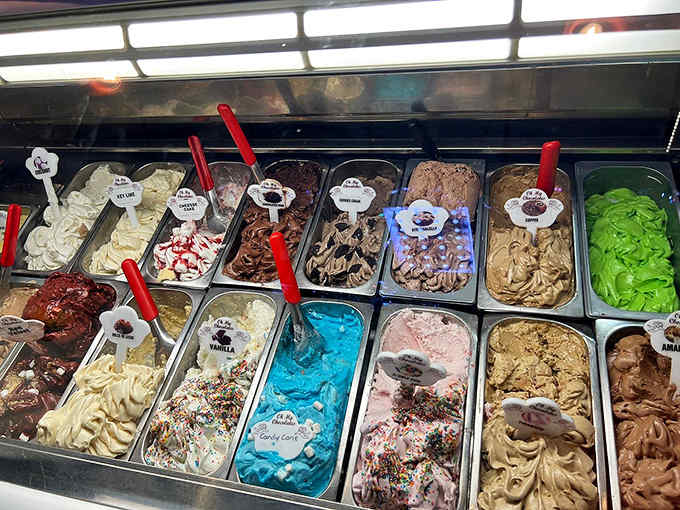 A rainbow of gelato flavors stretches before you like an edible artist's palette, each metal bin promising a different frozen adventure.