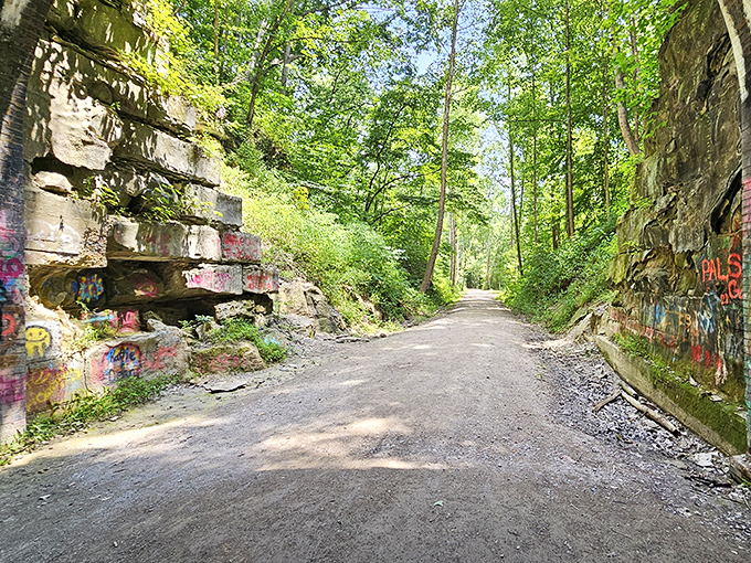 Nature reclaims the old railway cut, creating a peaceful corridor where trains once thundered through.