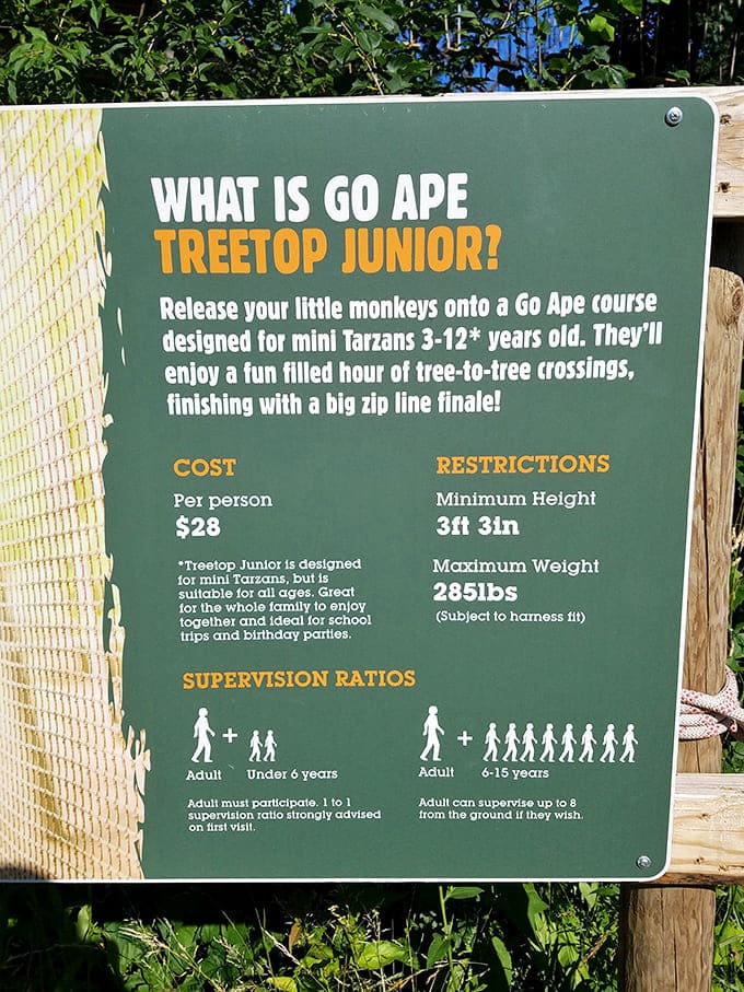 The Go Ape Treetop Junior sign promises fun for little monkeys, though the 285-pound weight limit means some of us bigger primates need the adult course.