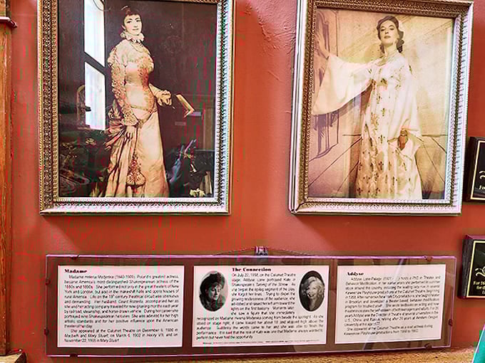 These informational exhibits tell stories that textbooks somehow made boring, proving that history is actually fascinating when presented by people who care.