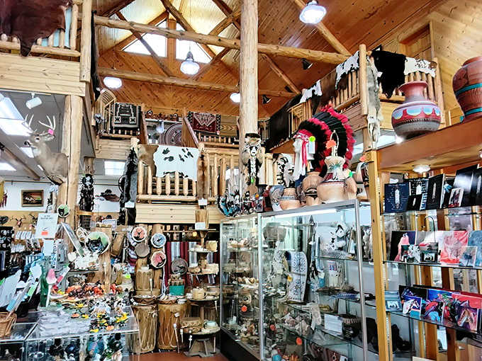 Chrome bumpers reflect spotlights in this automotive wonderland, where vintage cars aren't just displayed &ndash; they're celebrated as the rolling art they truly are.