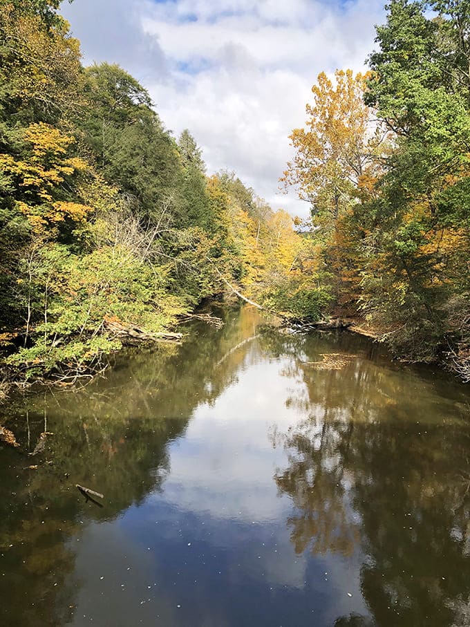 The Clear Fork River creates mirror-like reflections so perfect you'll wonder if Mother Nature moonlights as a professional photographer.