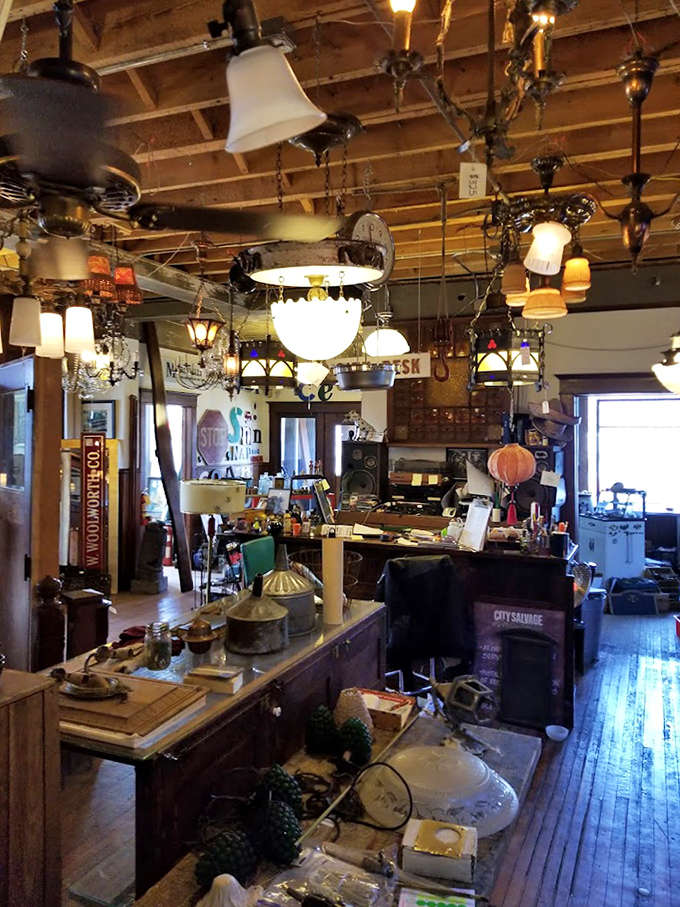 The ceiling becomes a museum of illumination history, with chandeliers and pendant lights from every era creating a constellation of vintage brilliance.