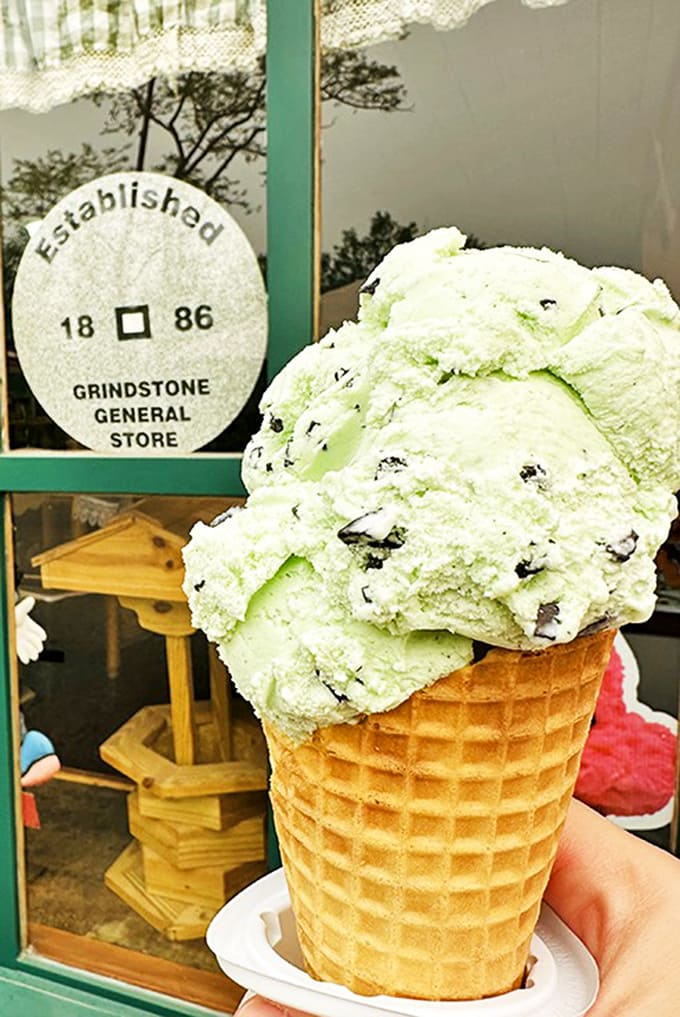 Mint chocolate chip that's actually green? This isn't just ice cream – it's a vibrant celebration of flavor that makes your standard grocery store version look like a sad impostor.