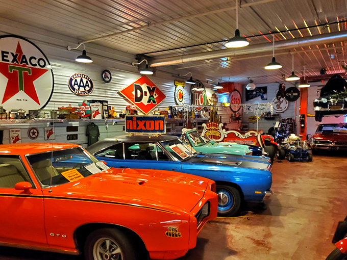 Chrome gleams under showroom lights as Harley-Davidson's finest machines stand ready for their close-up.