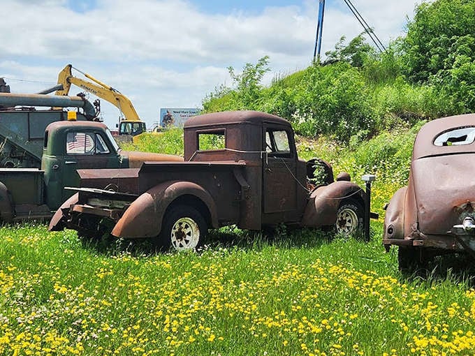 Detroit's finest, enjoying retirement in fields of dandelions. These vintage trucks have traded hauling loads for hauling in double-takes from passing motorists.