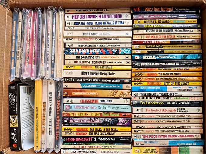 Vintage paperbacks line the shelves like soldiers of imagination, their well-worn covers hinting at the adventures contained within.