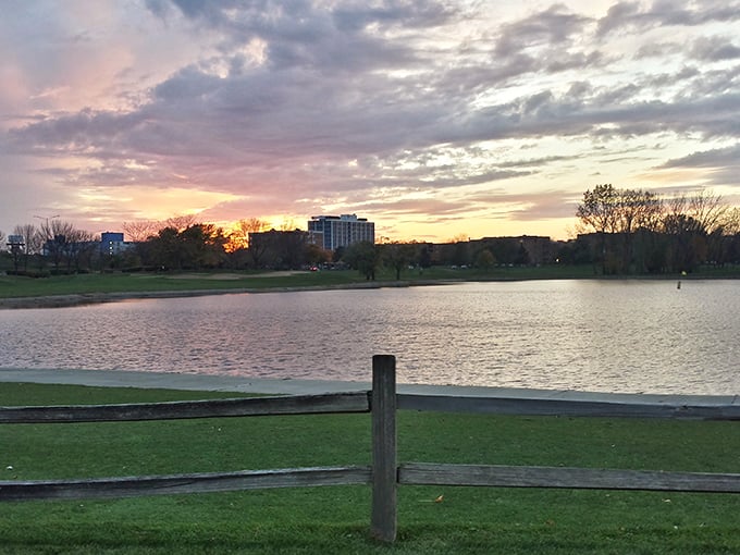 Sunset paints the sky in watercolor hues over a tranquil lake, where park benches await those seeking a moment of lakeside serenity.
