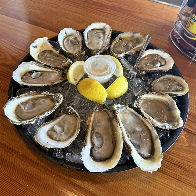 These oysters aren't just seafood; they're time capsules of briny ocean perfection, waiting to be unlocked with a squeeze of lemon.