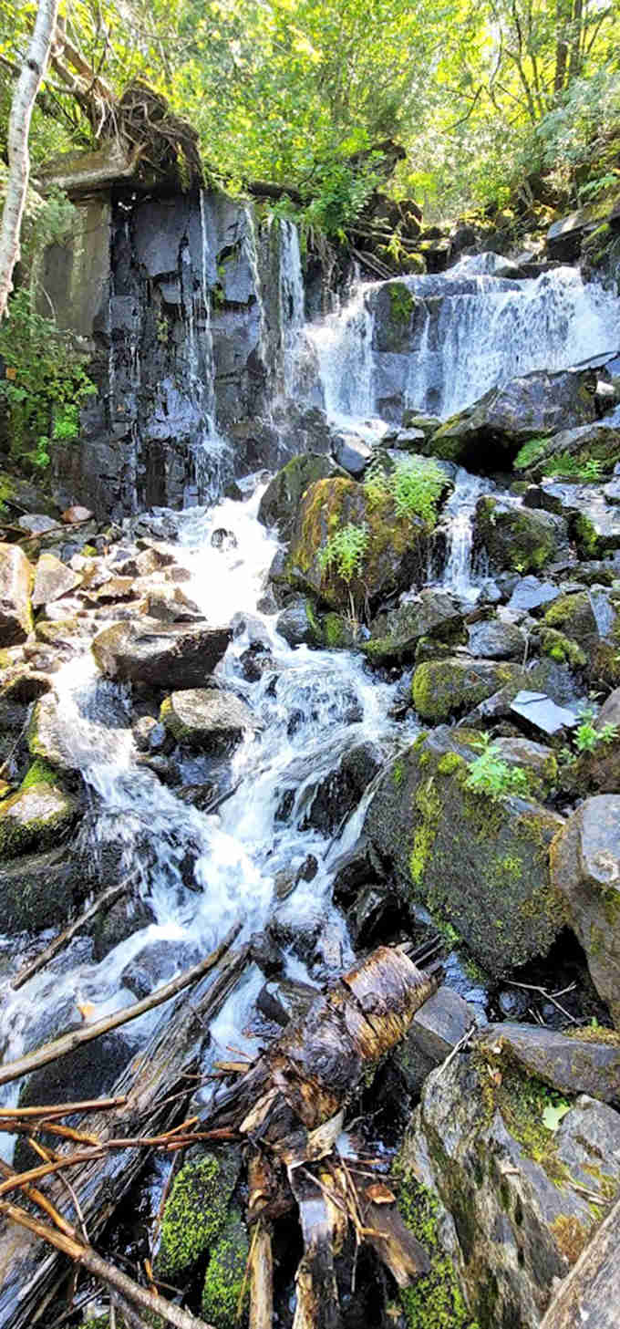 Nature's mosaic: moss-covered rocks and tumbling water create a scene so perfectly arranged it makes interior decorators jealous.