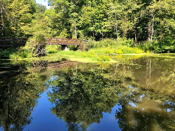 This picturesque bridge seems to whisper, "Cross me if you dare!" &ndash; though the only danger is falling in love with the view.