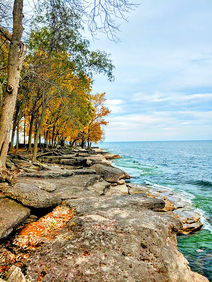 Autumn paints the shoreline in golden hues, with Lake Erie's waves gently lapping against the ancient limestone – nature's perfect frame for this historic beacon.