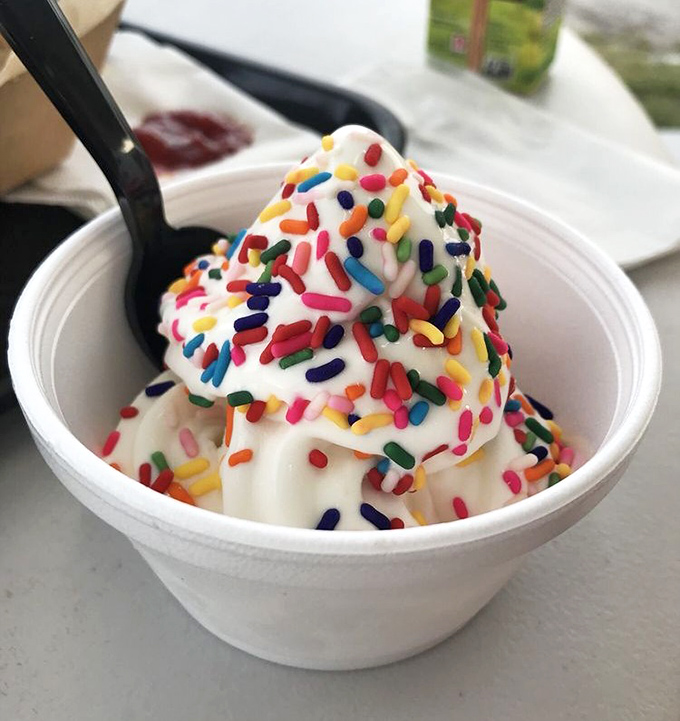 Perfection in a cup &ndash; this cloud-like swirl of vanilla soft serve adorned with rainbow sprinkles is summer distilled into edible form.