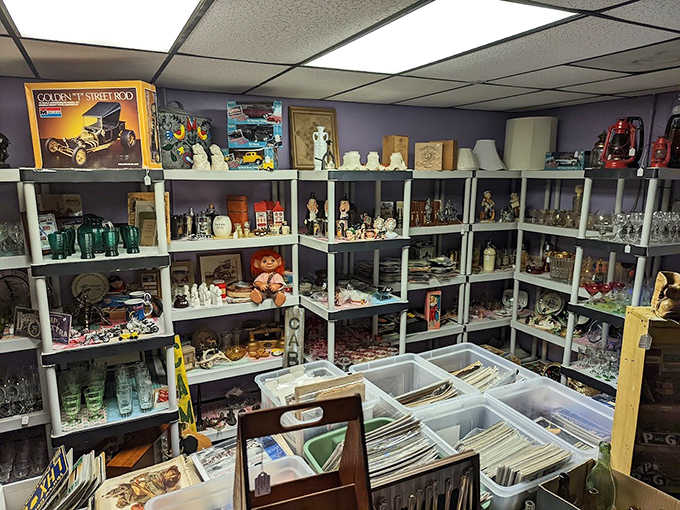 From vintage figurines to old advertising tins, this collection proves that yesterday's everyday items become tomorrow's cherished collectibles with enough patience and time.