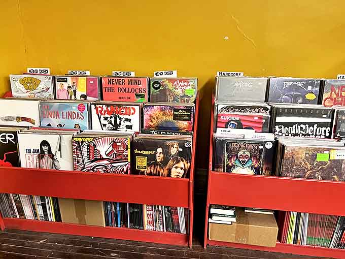 Vinyl treasures await in cherry-red bins, where The Bollocks and The Jam share space with underground classics.
