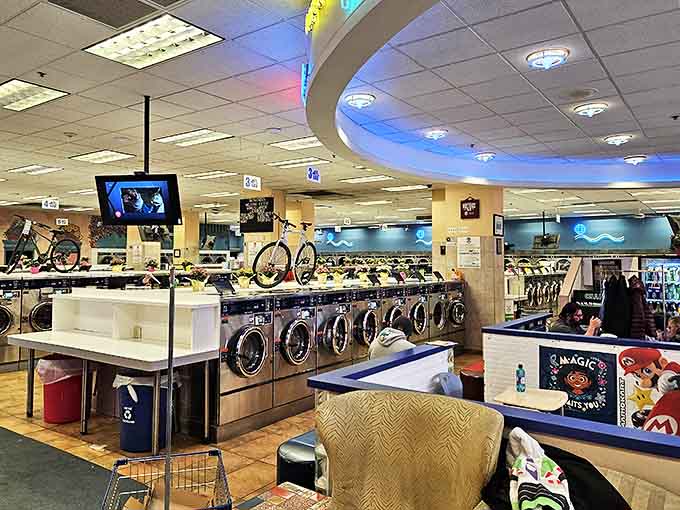 Rows of industrial washers stand at attention, ready to battle everything from grass stains to mystery spots.