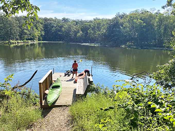 This weathered wooden dock isn't just a launching point for boats &ndash; it's front-row seating to nature's daily water ballet.