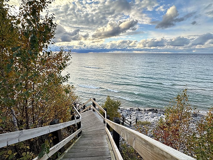 A wooden stairway invites beach-goers down to Orchard Beach, where trees provide natural shade just steps from the water.