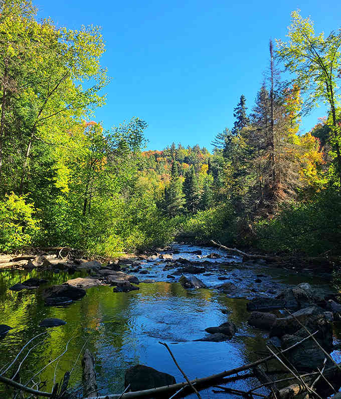 Crystal clear waters reflect the surrounding forest, creating a mirror world where reality and reflection become beautifully blurred.