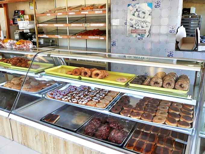 The morning sun creates a halo effect around these freshly made treats, as if nature itself is highlighting today's selection.