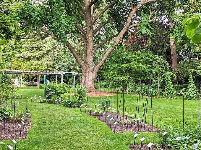 Beal Botanical Garden offers a living textbook of plants where even the most dedicated city-dweller can reconnect with nature's intricate designs.