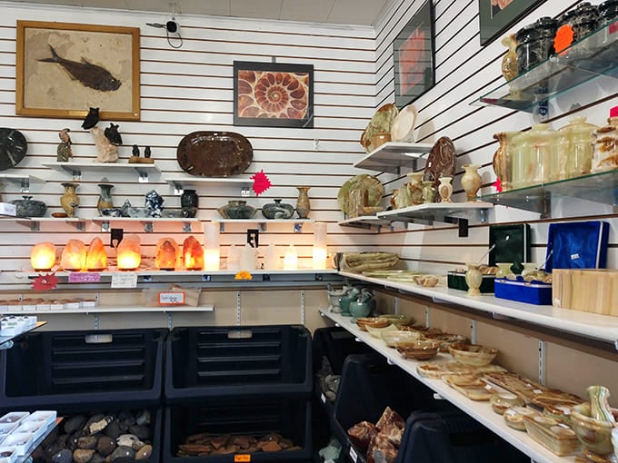 Shelves overflow with geological specimens and fossils, each piece a tangible connection to Earth's ancient past and distant places.
