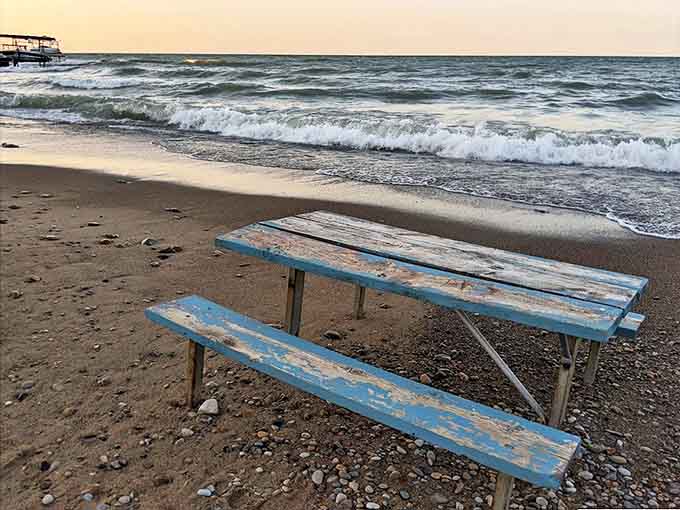 That weathered blue picnic table has seen thousands of sandwiches and countless sunset conversations &ndash; if only it could talk!