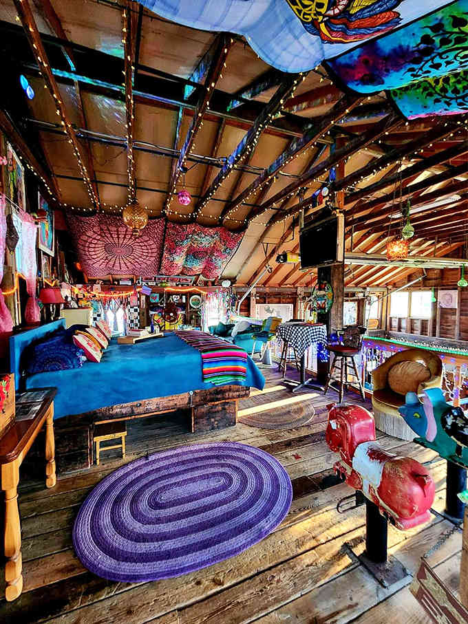 That zebra-print bedding framing a sunset view through a circular window is either the best dream you've ever had or the coolest reality you've stumbled into.