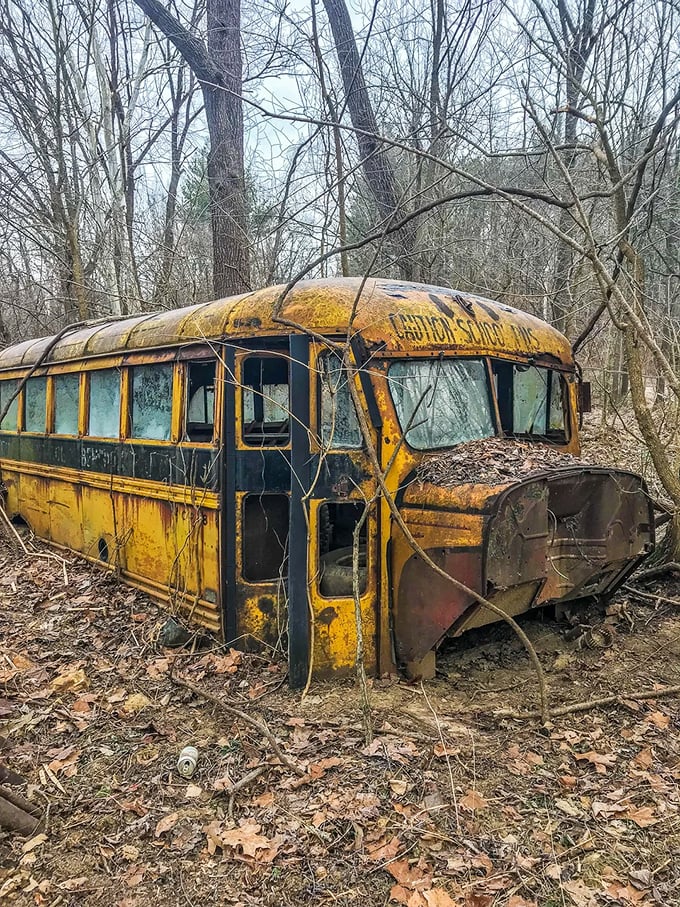 Nature slowly reclaims this abandoned school bus, the centerpiece of one of Helltown's most persistent and chilling urban legends.