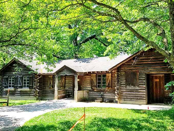 This rustic log cabin nestled under protective branches looks like it was plucked straight from a storybook, waiting for visitors to discover its woodland secrets.