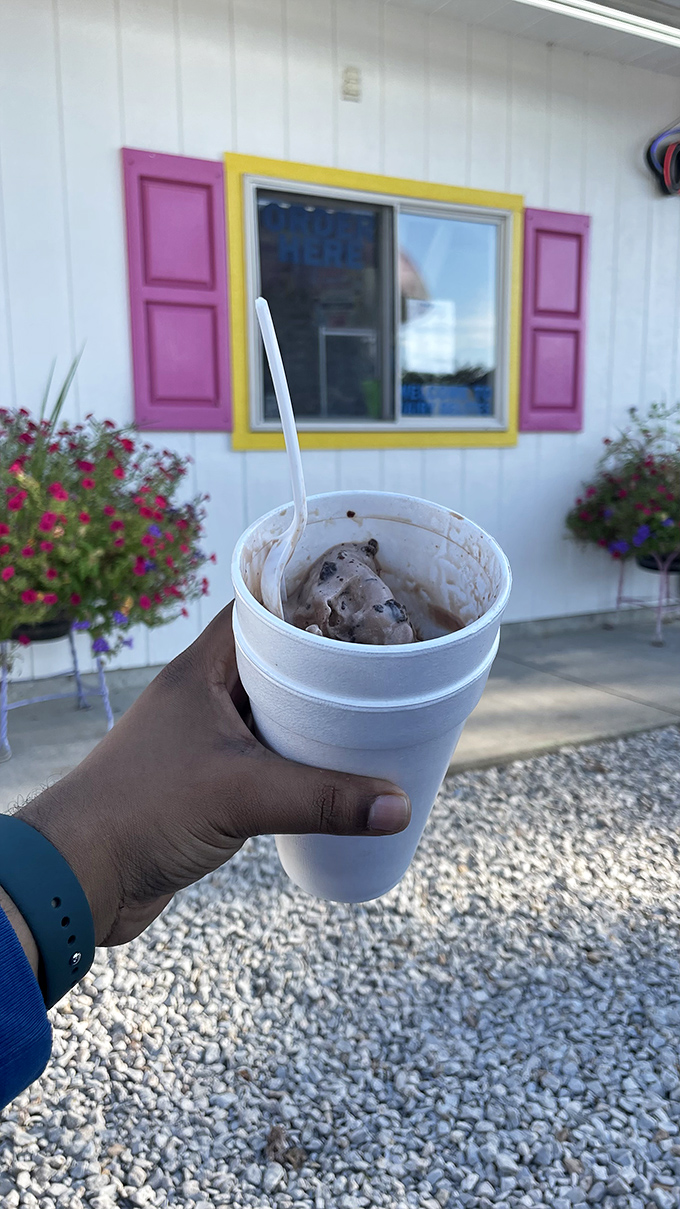 Chocolate Ice Cream: Chocolate therapy in a cup &ndash; the kind of rich, velvety indulgence that makes you momentarily forget your troubles.
