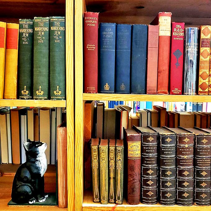 These aren't just books – they're time machines bound in leather and cloth, their spines telling stories before you even open them.