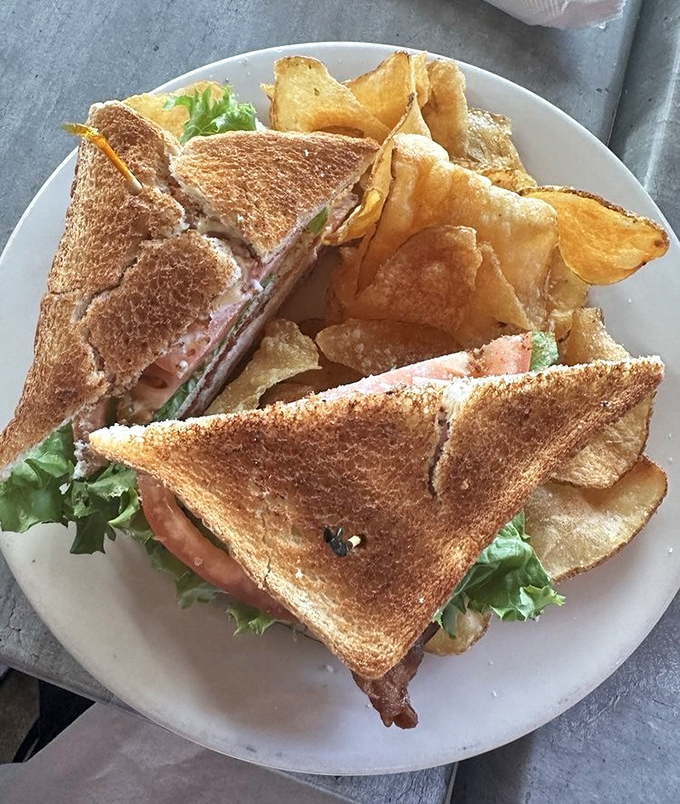 The club sandwich: mankind's greatest architectural achievement involving bread. Perfectly toasted, precisely stacked, and those house-made chips aren't just a side&mdash;they're a statement.