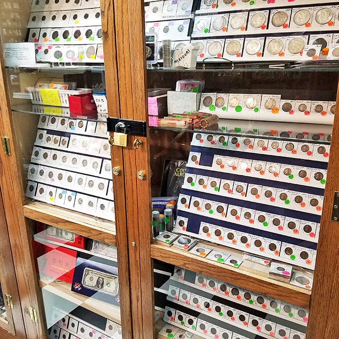 Numismatist nirvana! These meticulously organized coin collections represent American history you can actually hold in your hand.