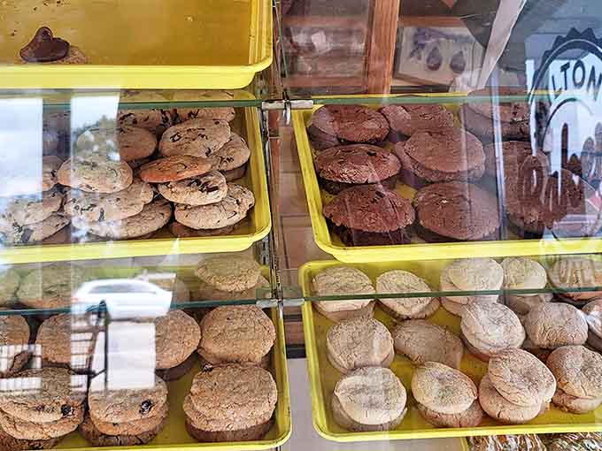 Cookies ranging from chocolate chip to snickerdoodle prove that variety truly is the spice of life, or at least of baked goods.