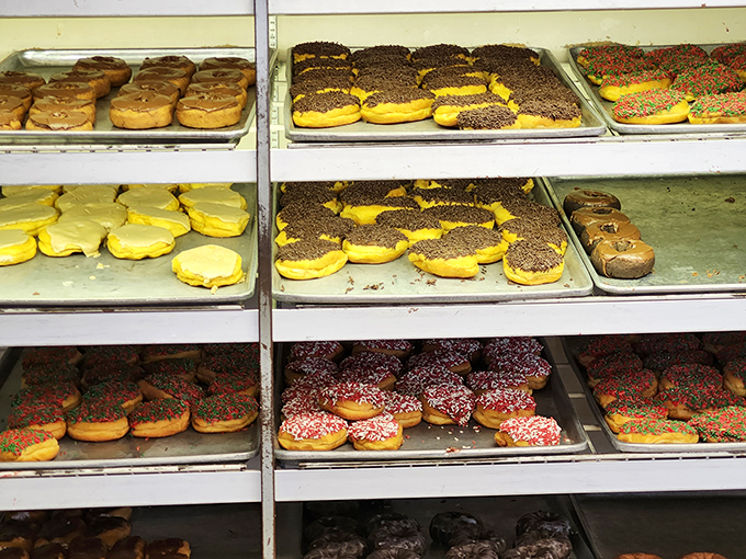 Trays of golden-fried happiness await behind glass, like a museum exhibit dedicated to the art of morning indulgence.