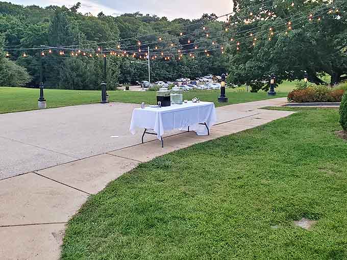 Twinkling lights transform ordinary evenings into magical memories. Even empty tables hold the promise of celebration under Michigan stars.