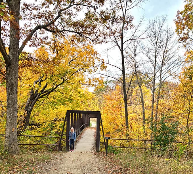 Walking this tree-lined bridge feels like entering a secret passage, the kind of place where you half expect to find Narnia on the other side.
